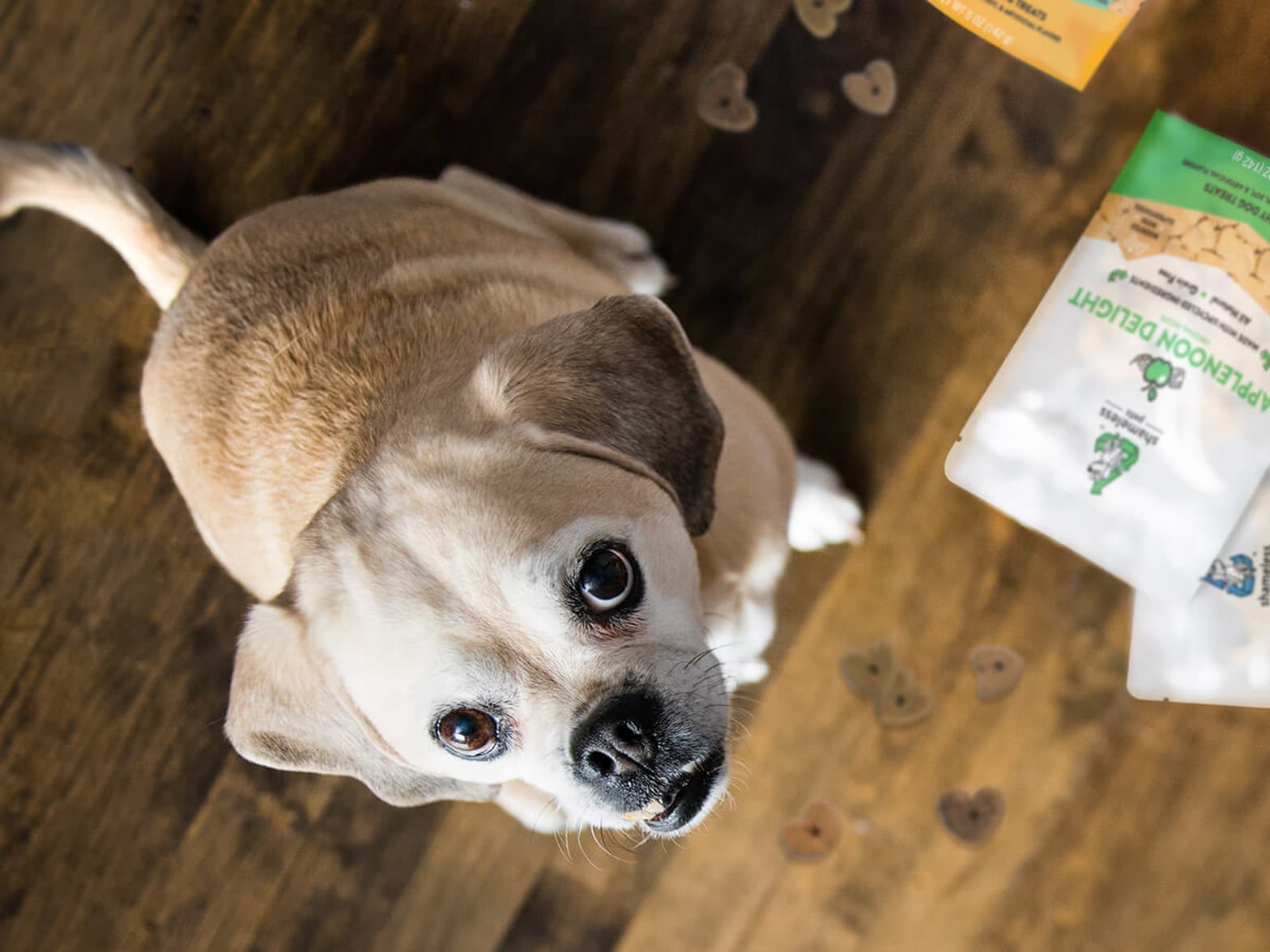 Shameless Pets — True